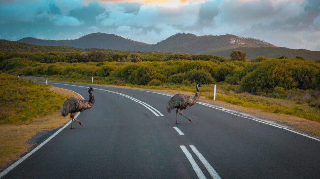 The Best Road Trip Routes in Australia - IBAPartner